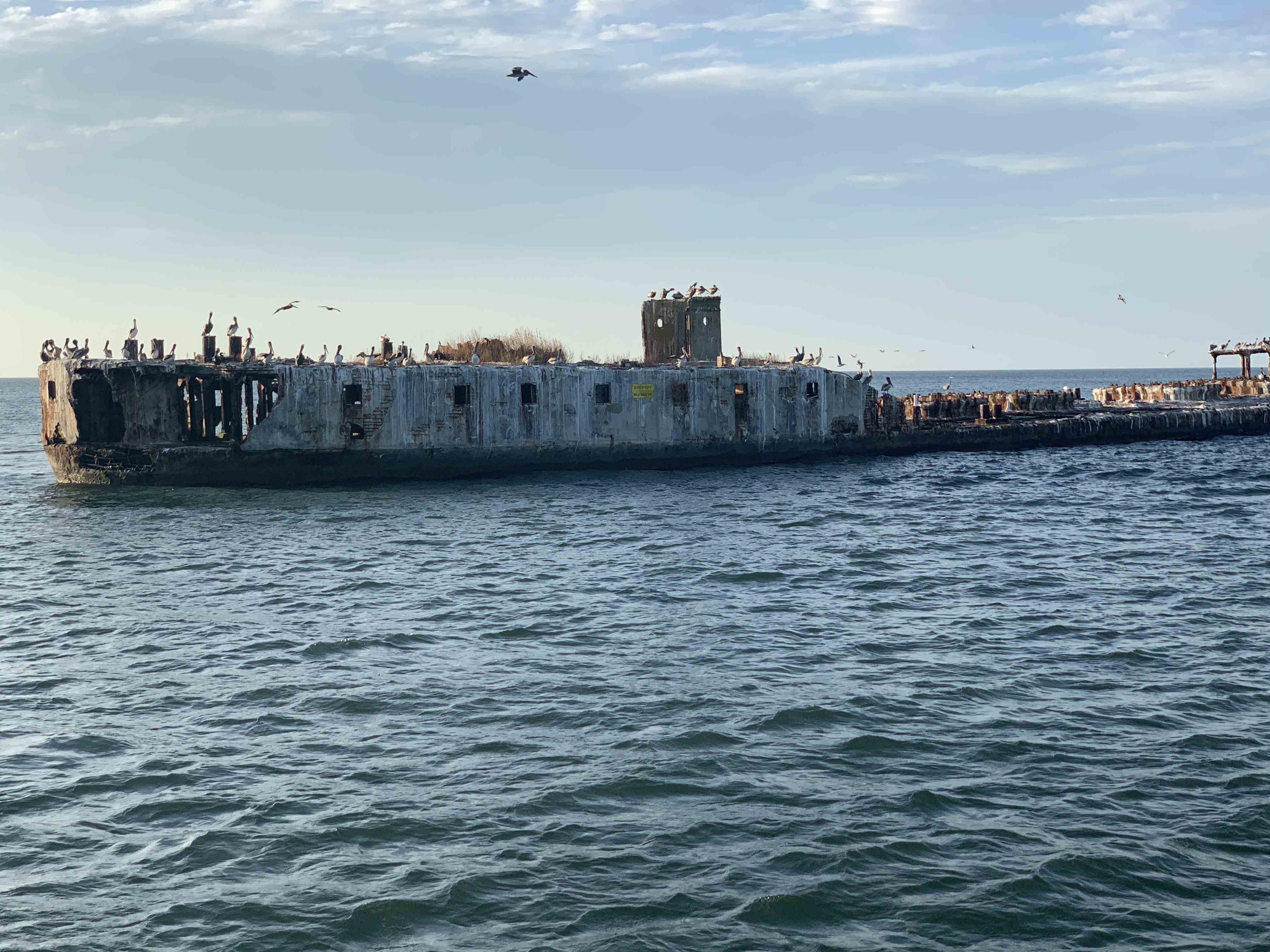 Concrete Ships – MV Simple Life